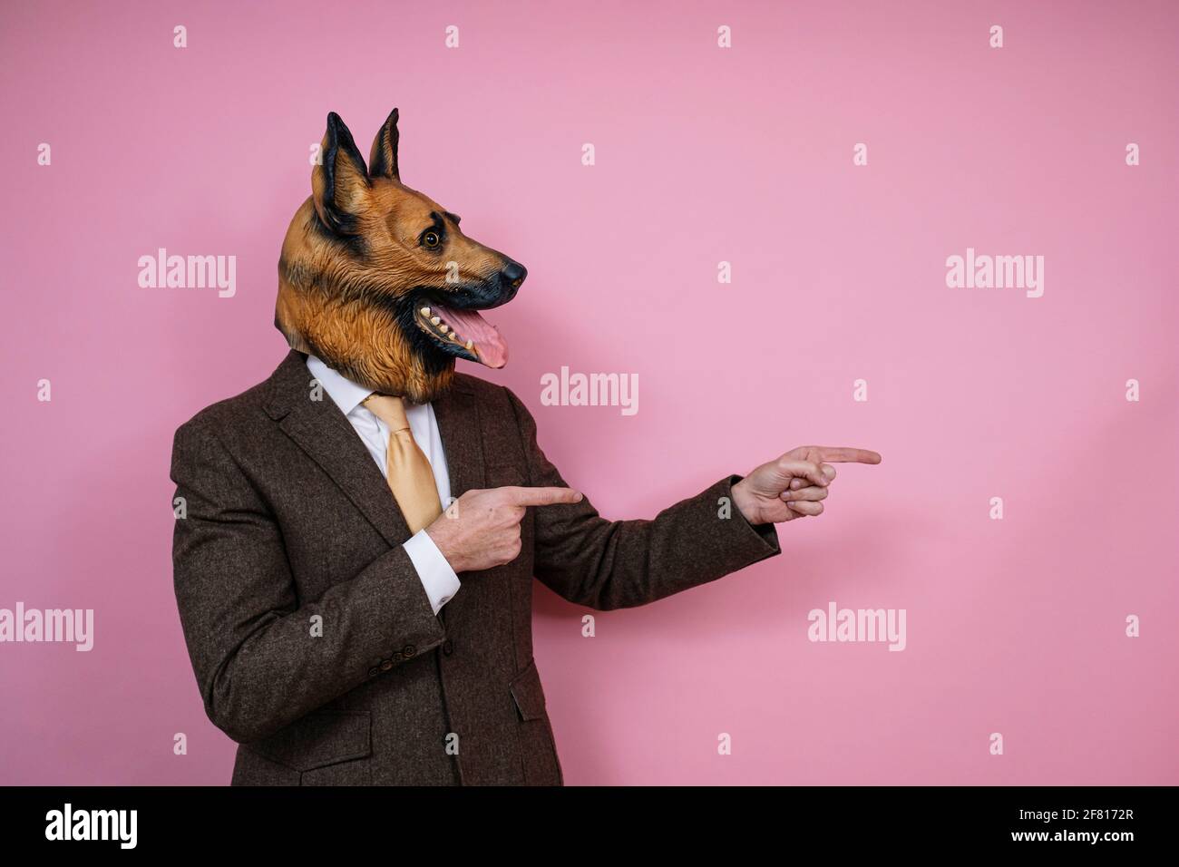 Disguise dog man hi-res stock photography and images - Alamy