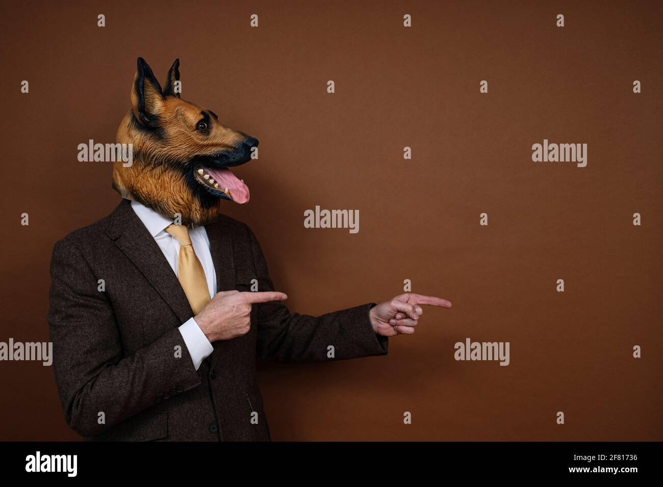 Disguise dog man hi-res stock photography and images - Alamy