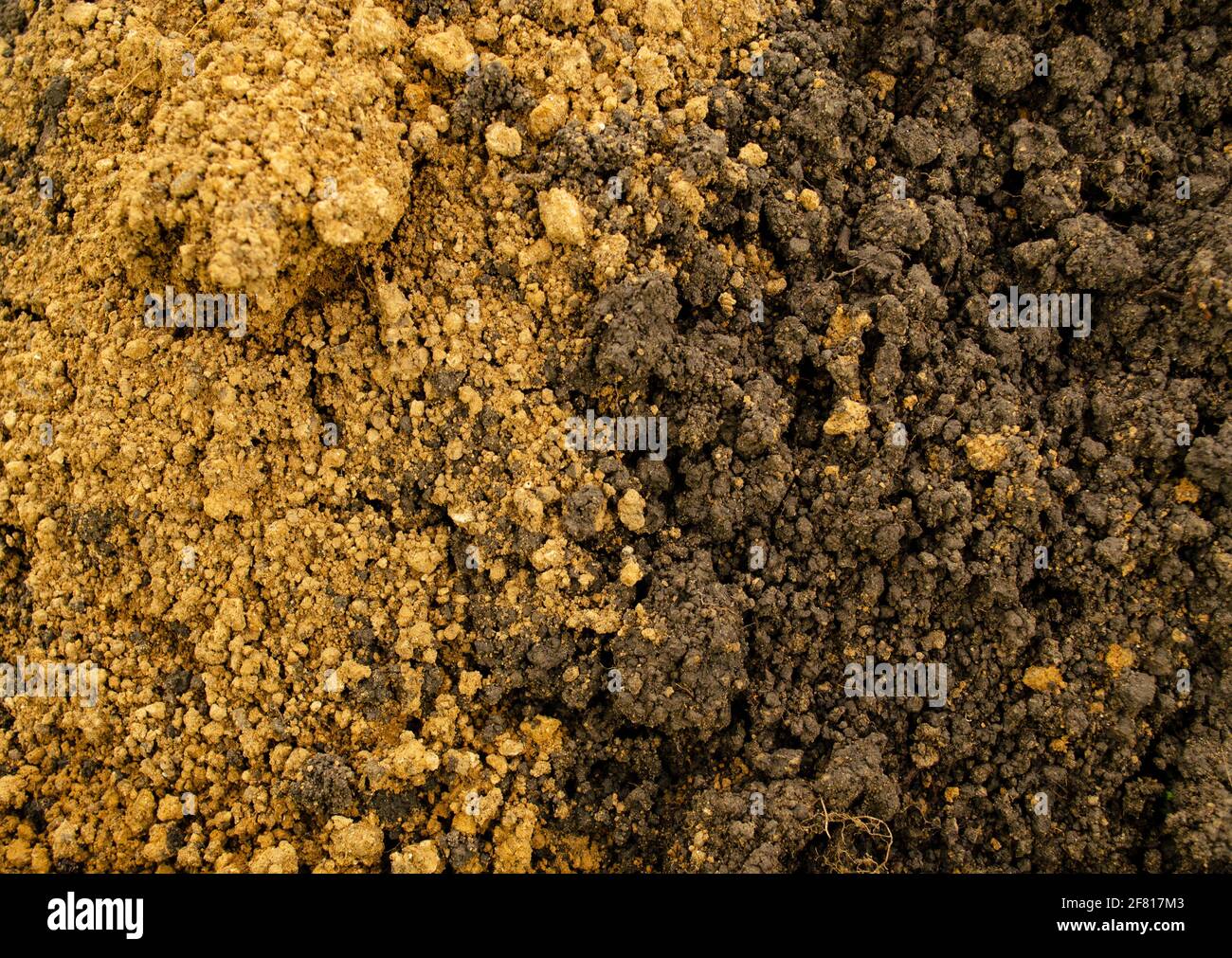 Mixing two types of soil, earth and clay. Earthy koichnev background ...