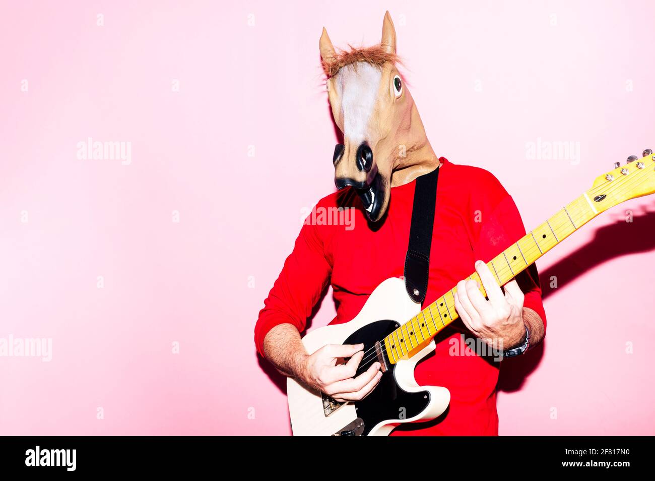Horse playing guitar hi-res stock photography and images - Alamy