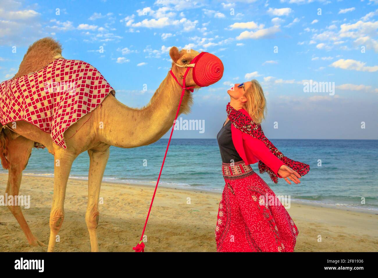 Qatar inland sea camel hi-res stock photography and images - Alamy