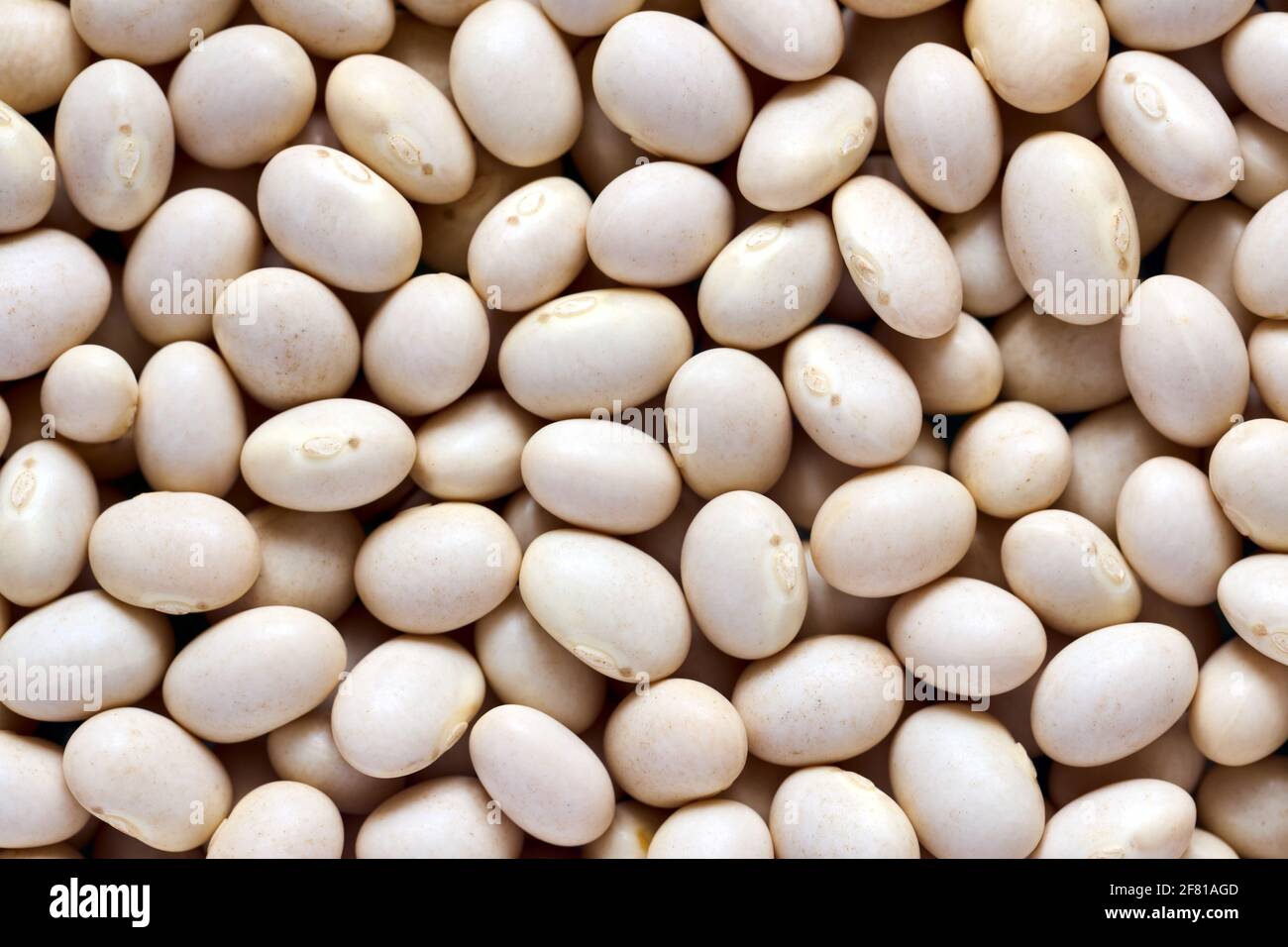 White bean texture background macro closeup. Concept of healthy eating ...