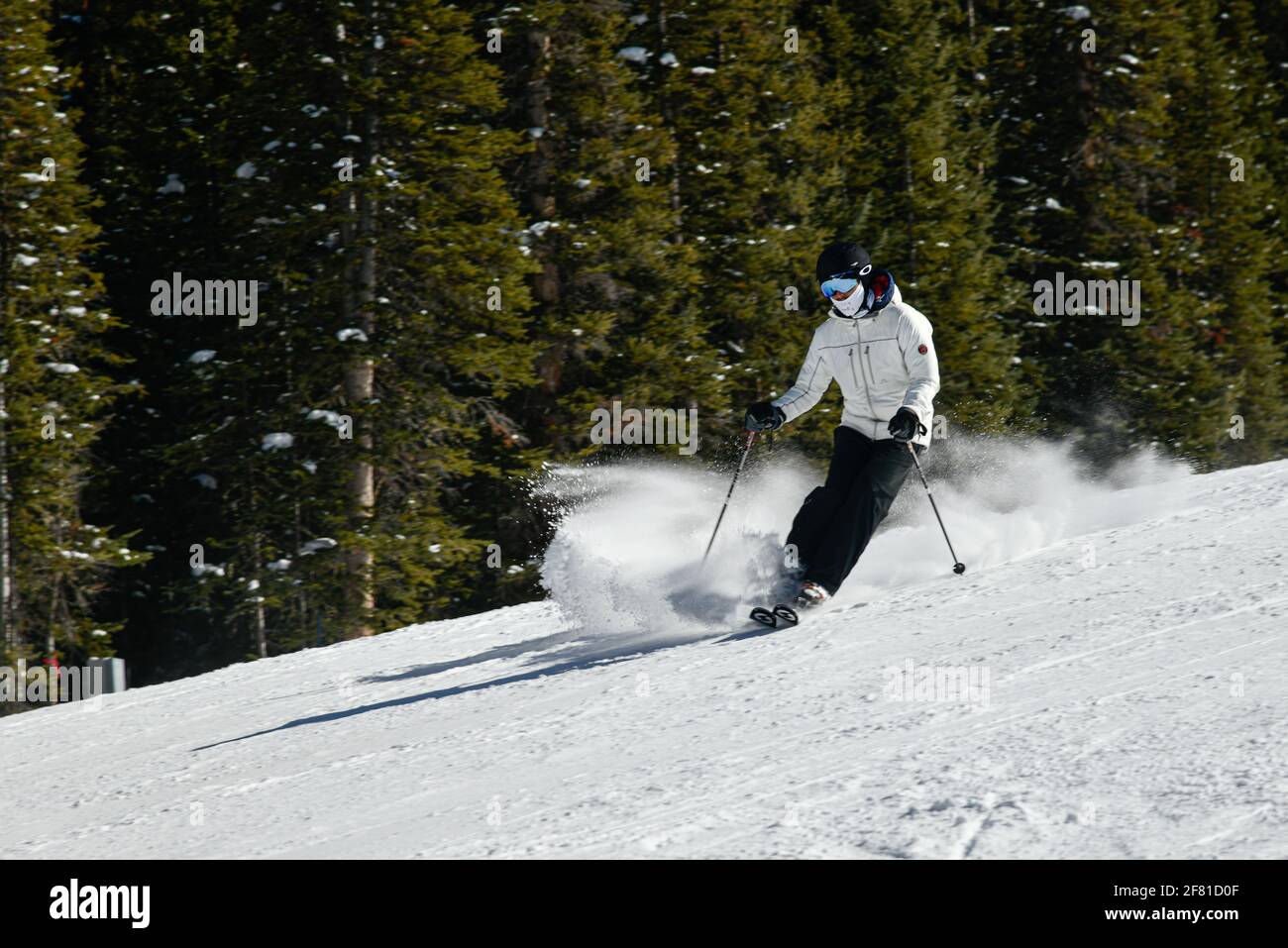Female Skier going down the slopes on hi-speed at sunny day with fresh ...