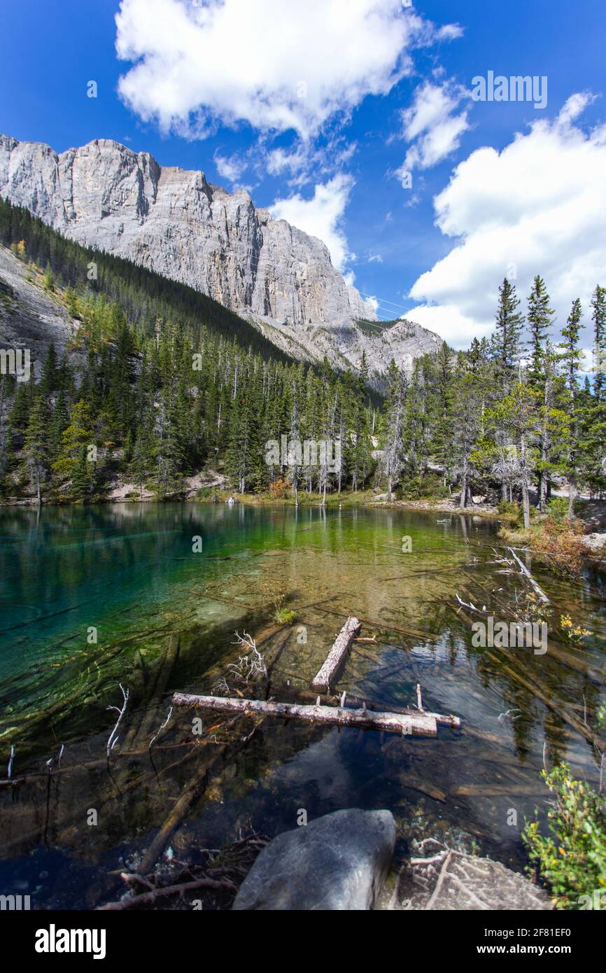 tree trunk floating in the water of a turquoise lake in the mountains ...