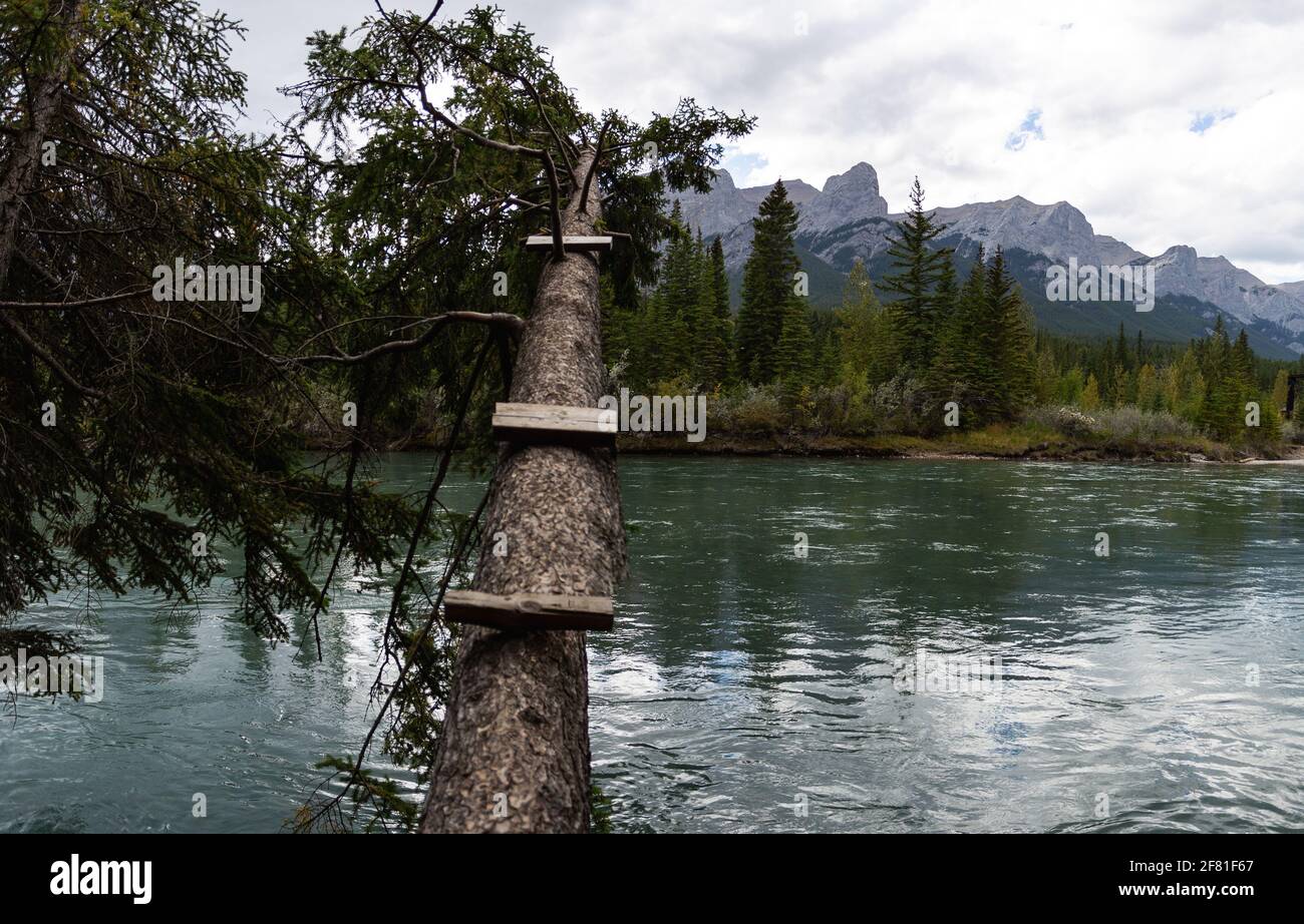 Angled tree trunk with steps over a river in the mountains with cloudy ...