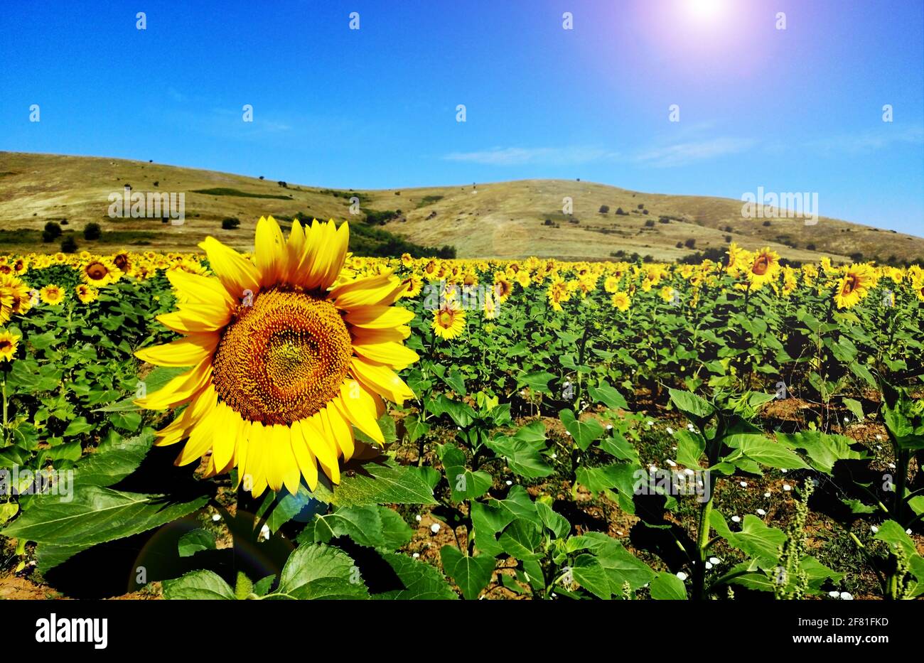 Macedonian countryside hi-res stock photography and images - Alamy