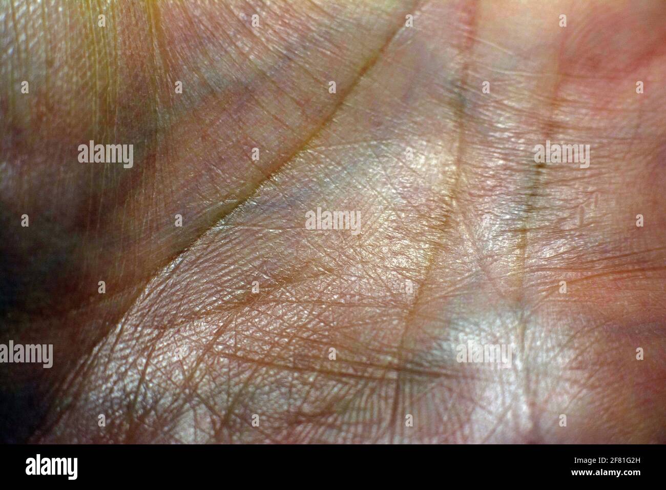 Extreme close up photo of a palm of a hand. Shallow depth of field ...
