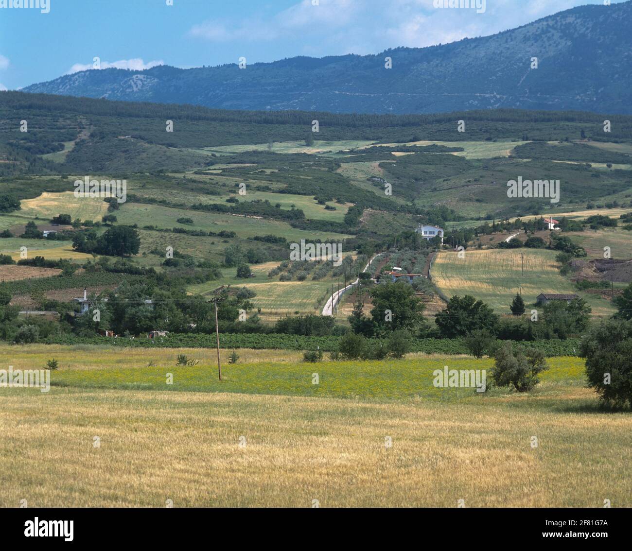 Greece, Delphi Valley Stock Photo - Alamy