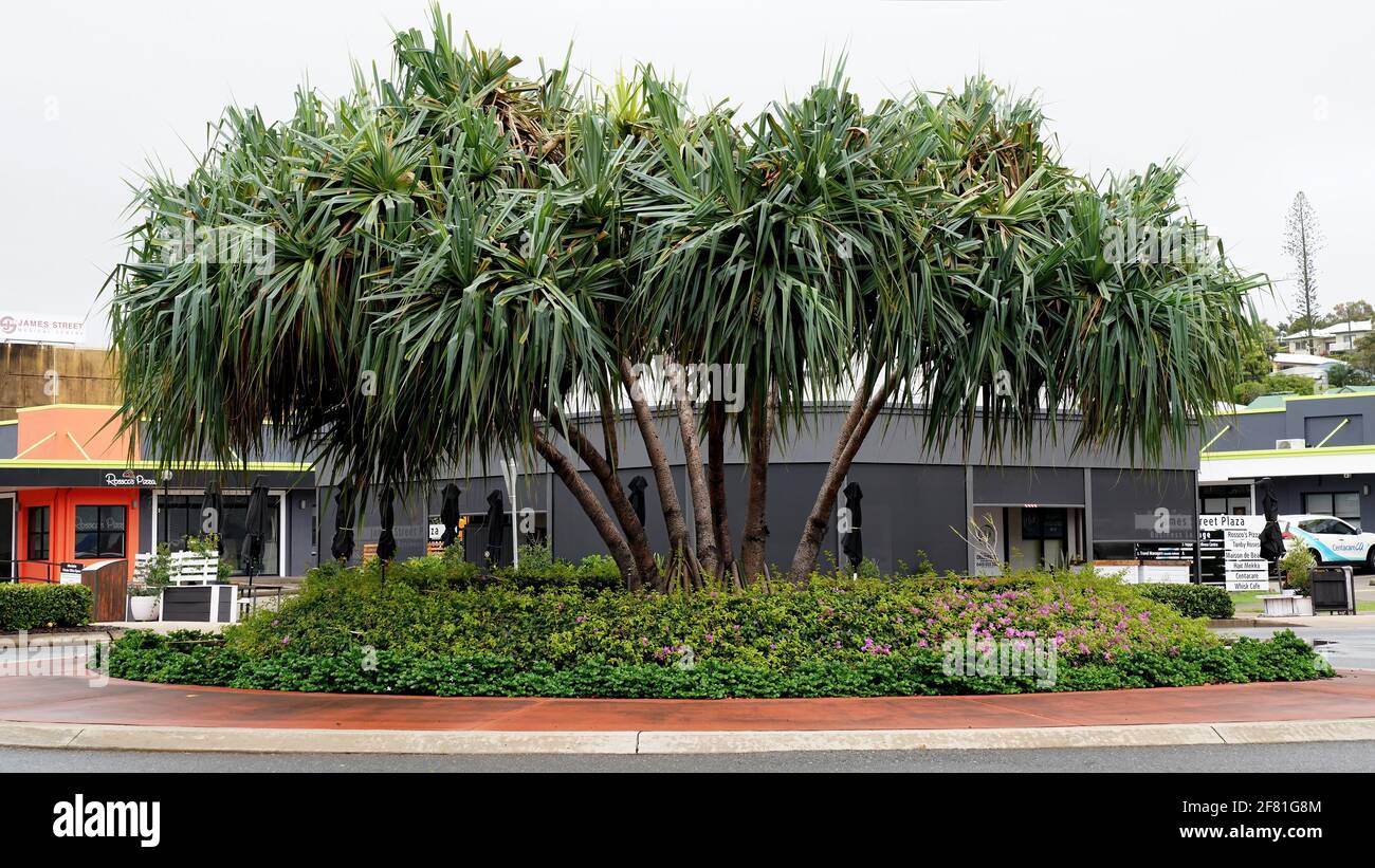 Yeppoon, Queensland, Australia - April 2021: City roundabout with large ...