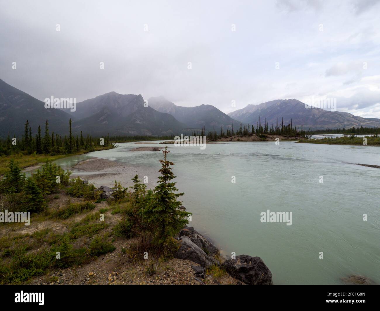 Green trees with a glacier background hi-res stock photography and ...