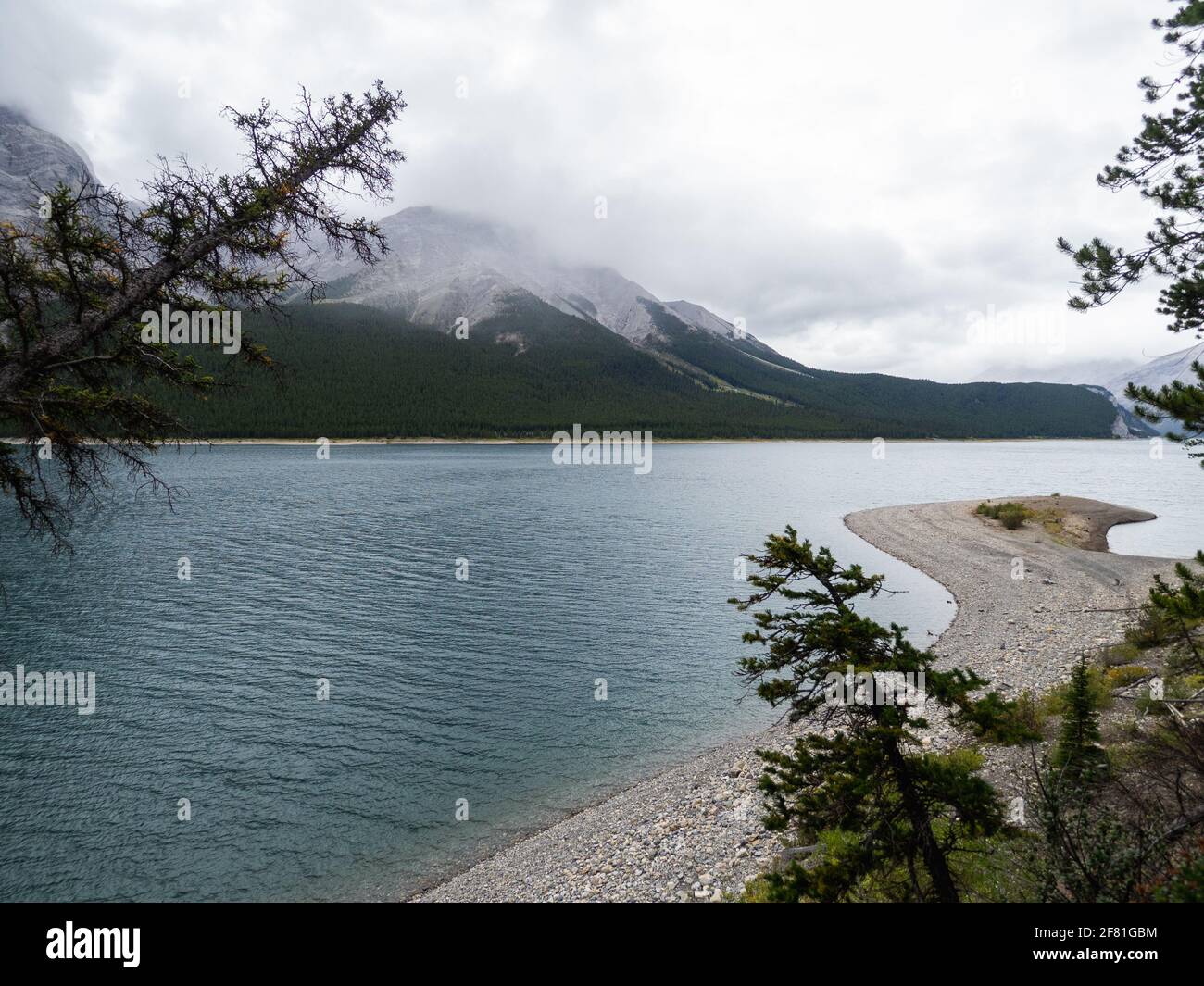 mountain lake on a windy grey day with a tree in the frame Stock Photo ...