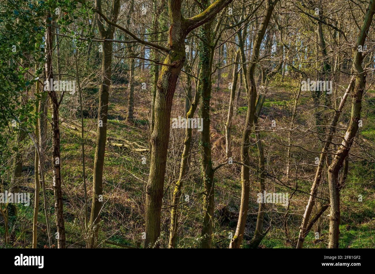 Jordanthorpe hi-res stock photography and images - Alamy