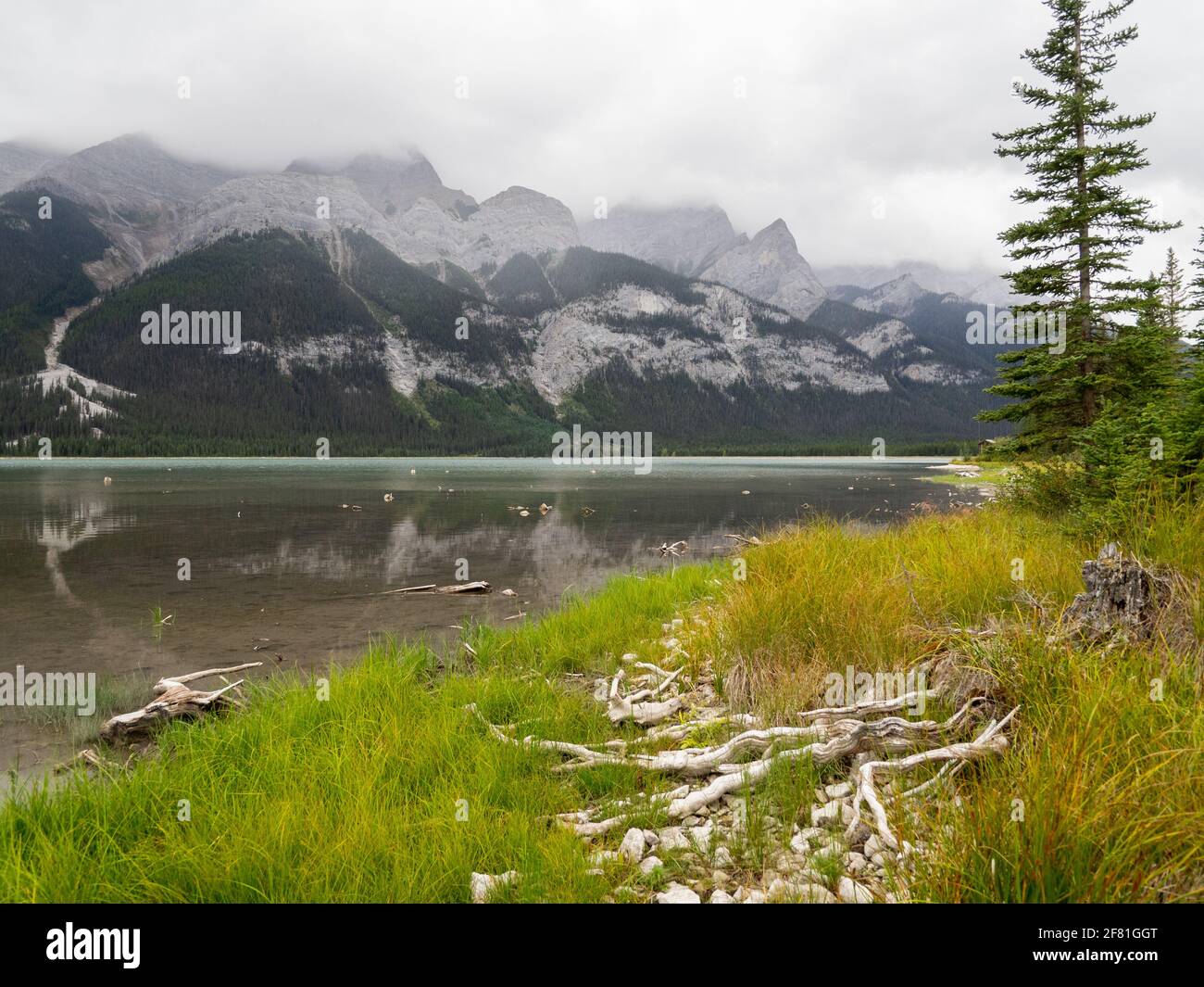 very calm lake on a moody day in the mountains with bright grass Stock ...