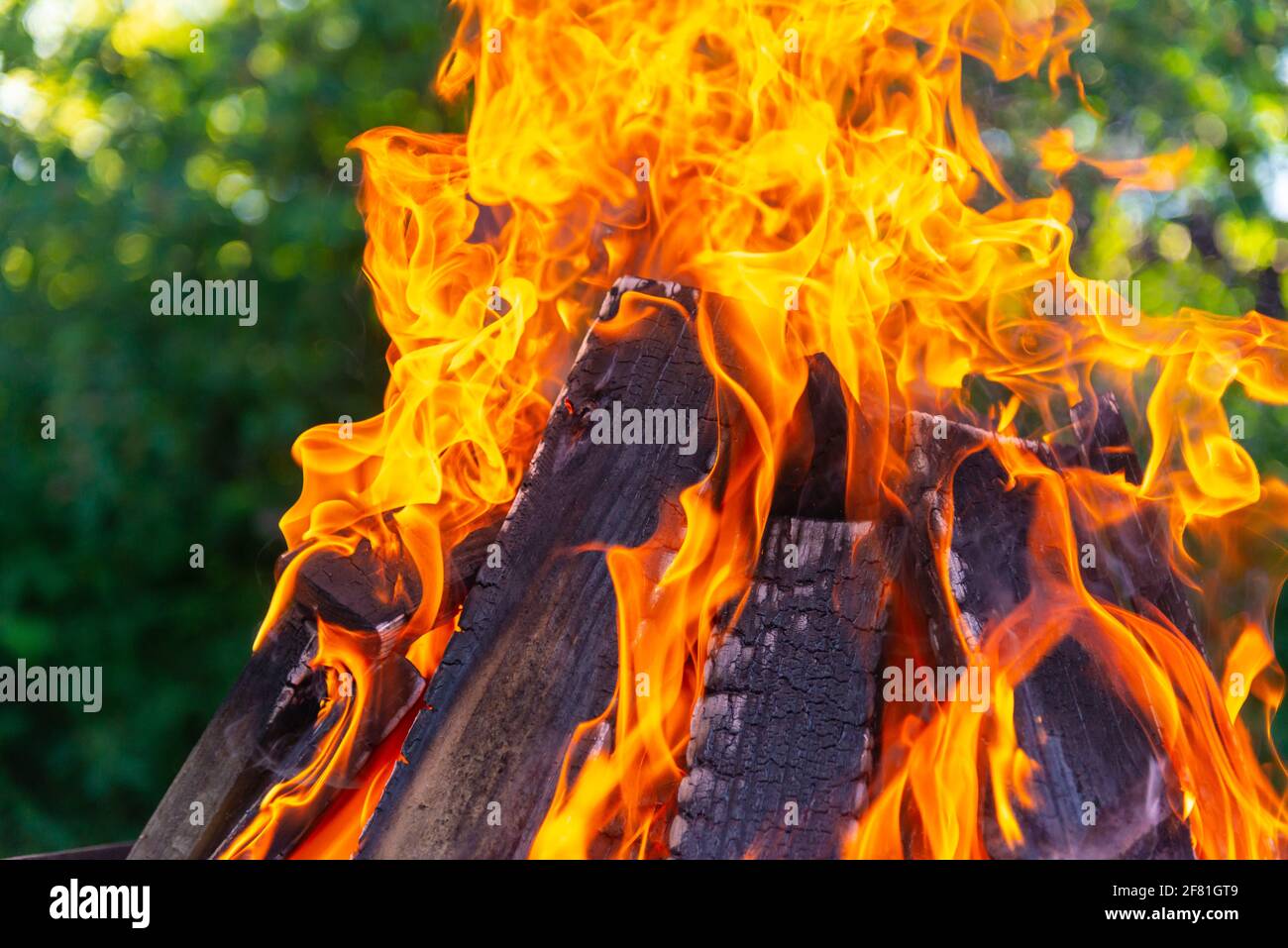 A large fire made of planks. Firewood in a bright flame. Very dense ...