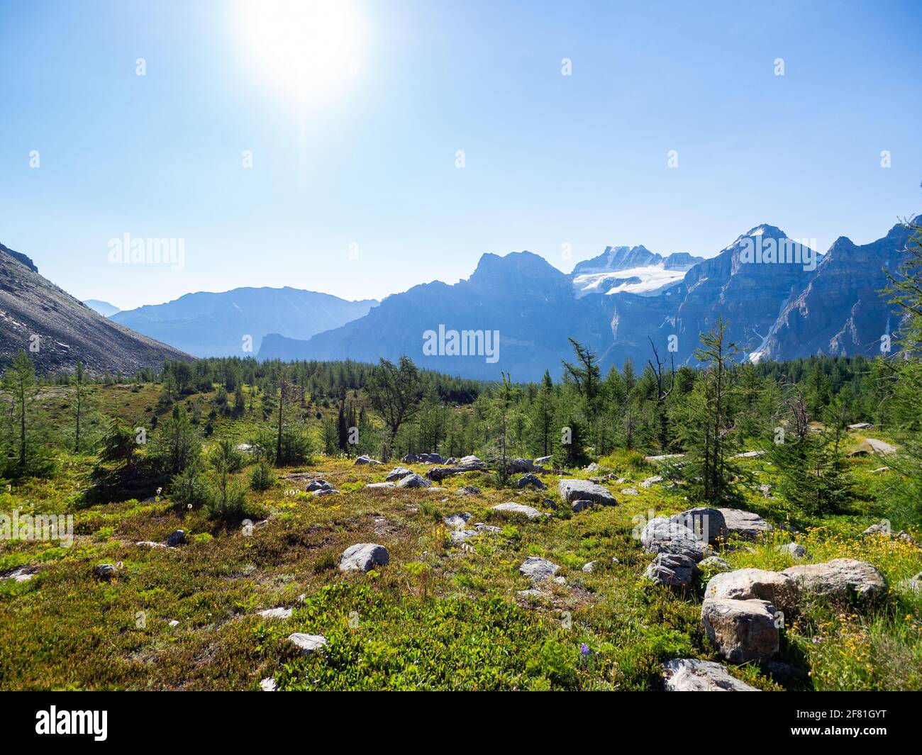 Nice summer hi-res stock photography and images - Alamy
