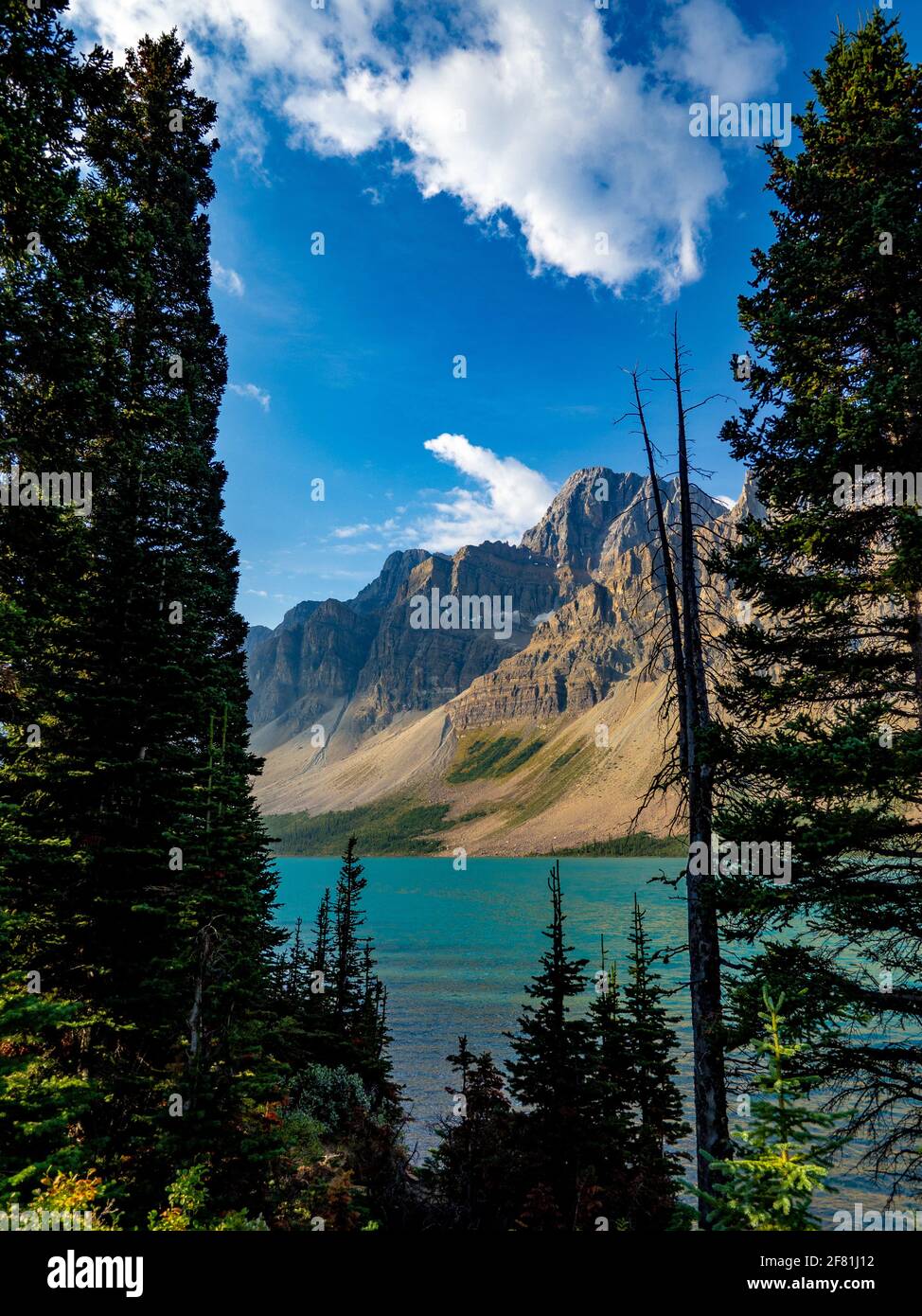 View between two tall pine trees of a turquoise lake in the mountains ...