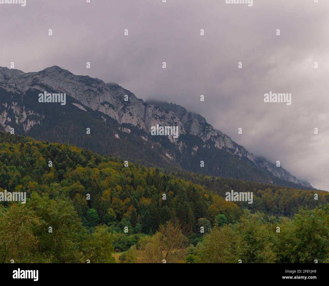 A beautiful view of high rocky mountains with greenery in Romania Stock ...