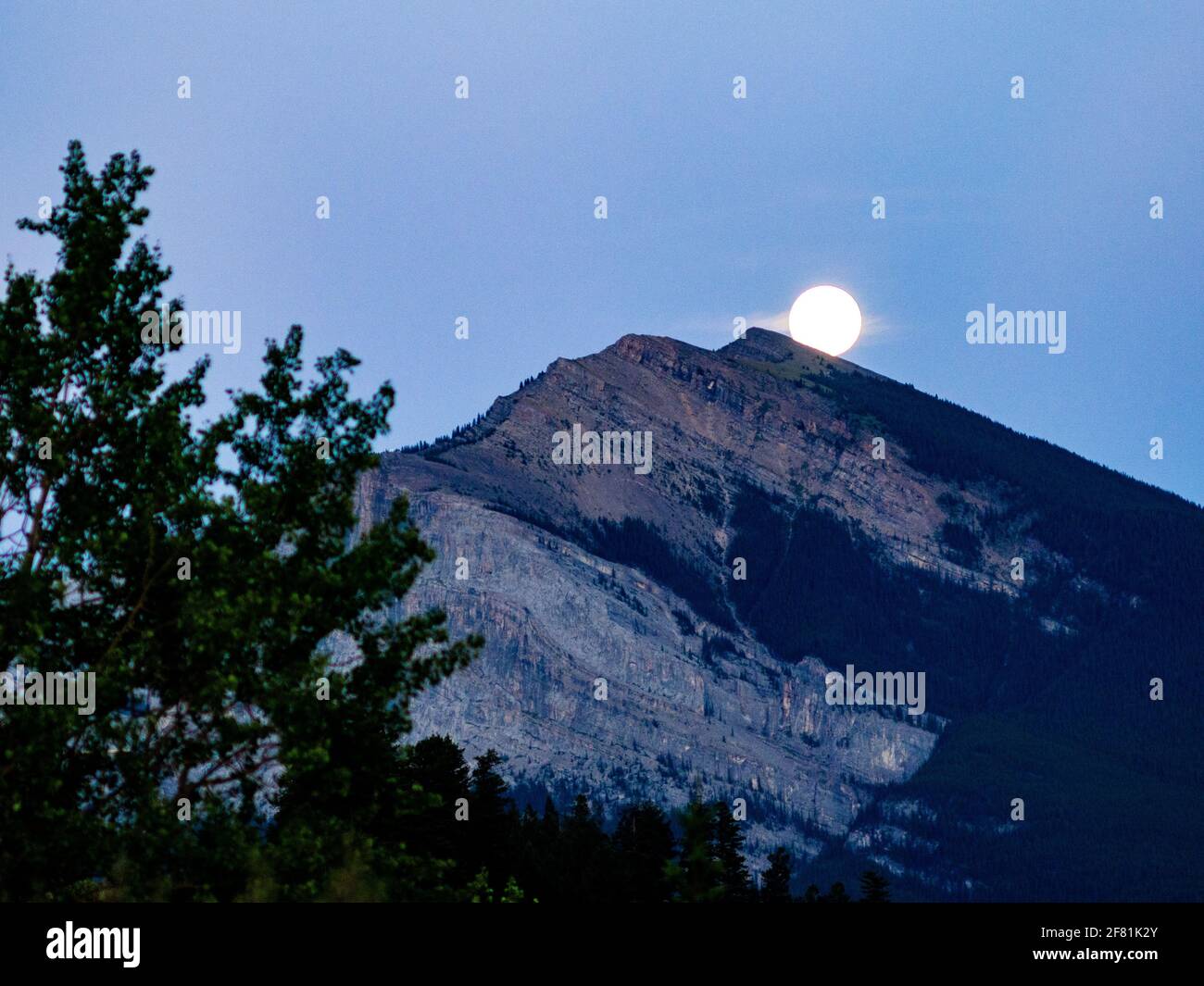 Full moon dusk pine hi-res stock photography and images - Alamy