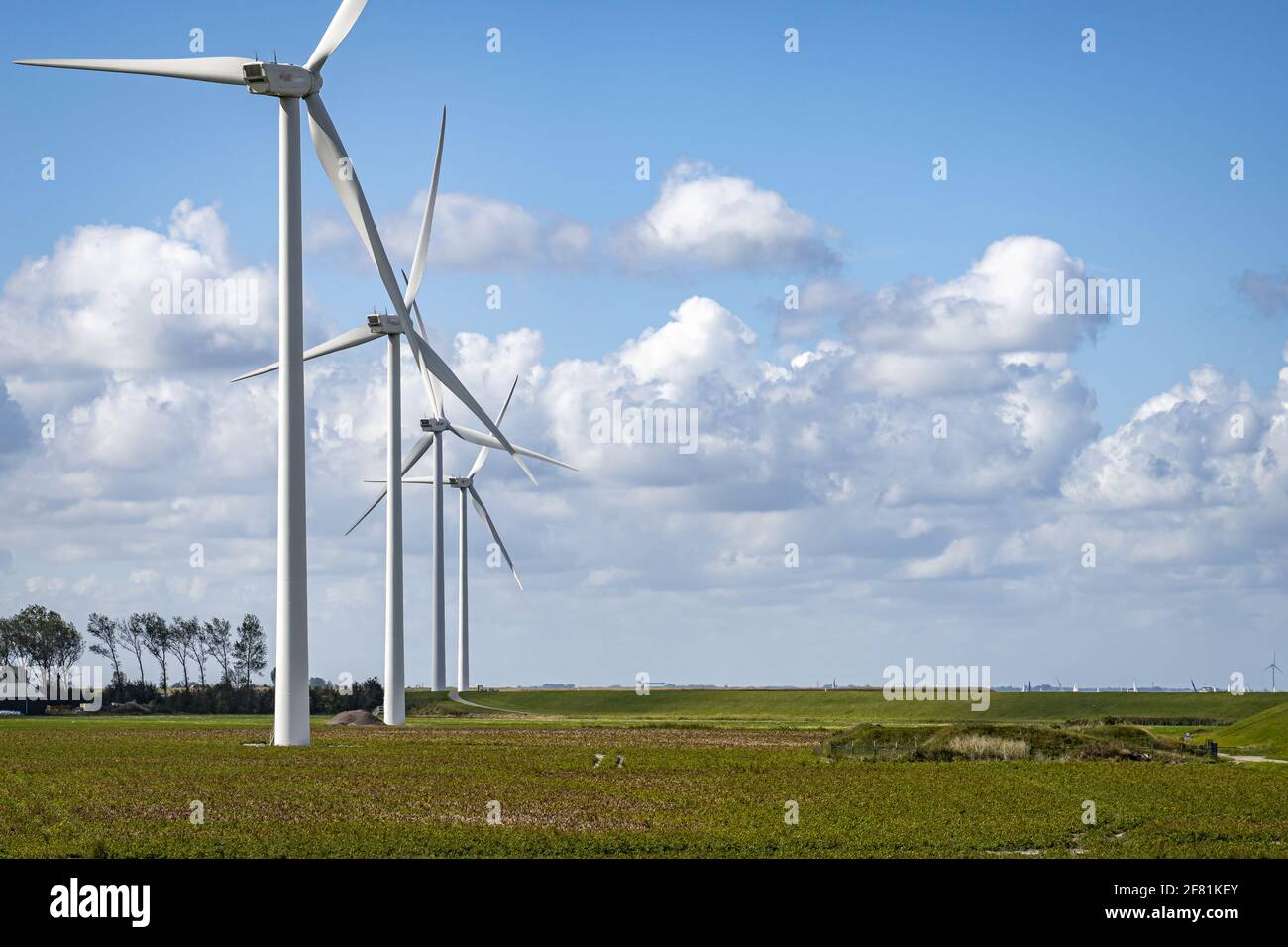 A field with four wind wheels in a row and a blue sky with white clouds ...