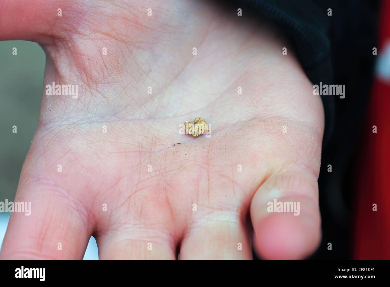 Hand picker hi-res stock photography and images - Alamy