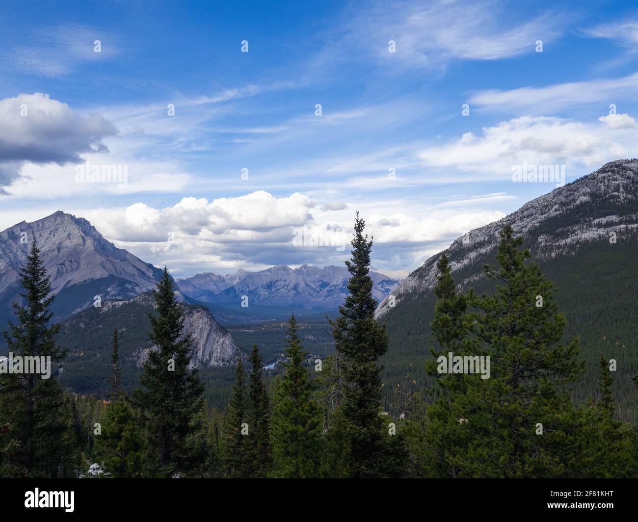 With pine trees foreground hi-res stock photography and images - Alamy