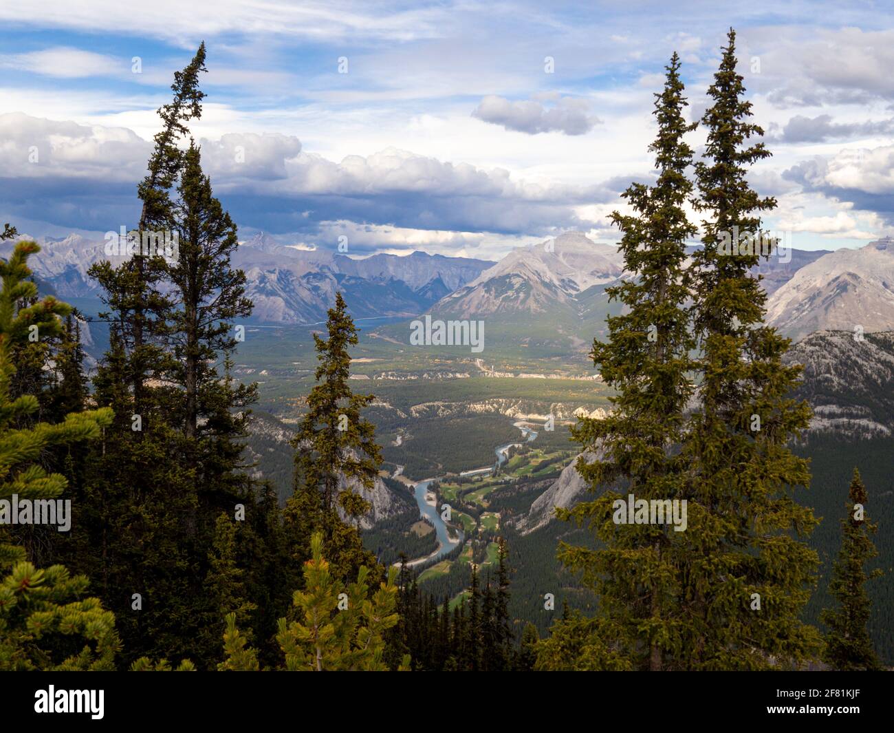 view down on a valley in between pine trees Stock Photo - Alamy