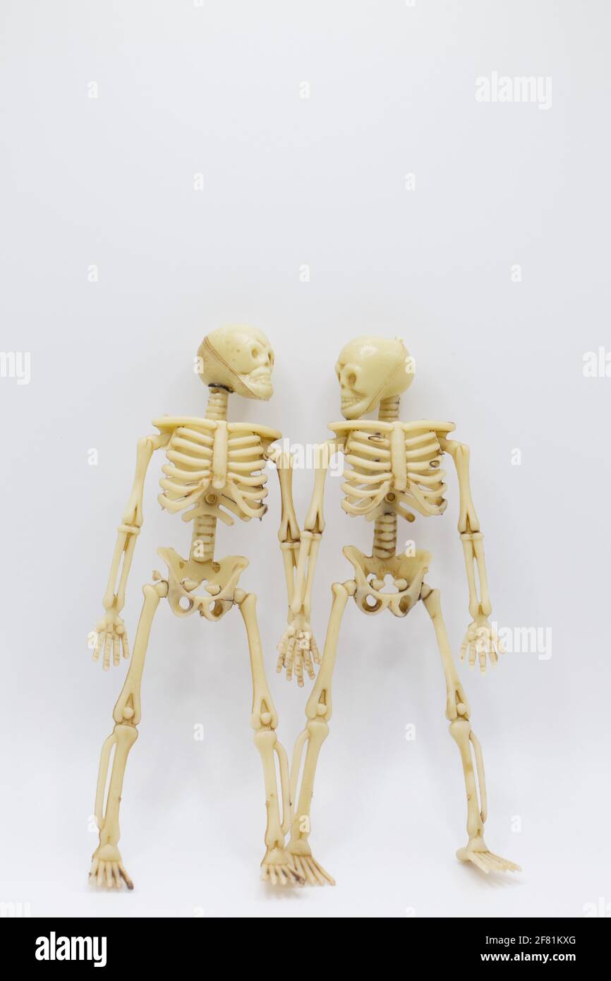 Two Skeletons High Resolution Stock Photography and Images - Alamy