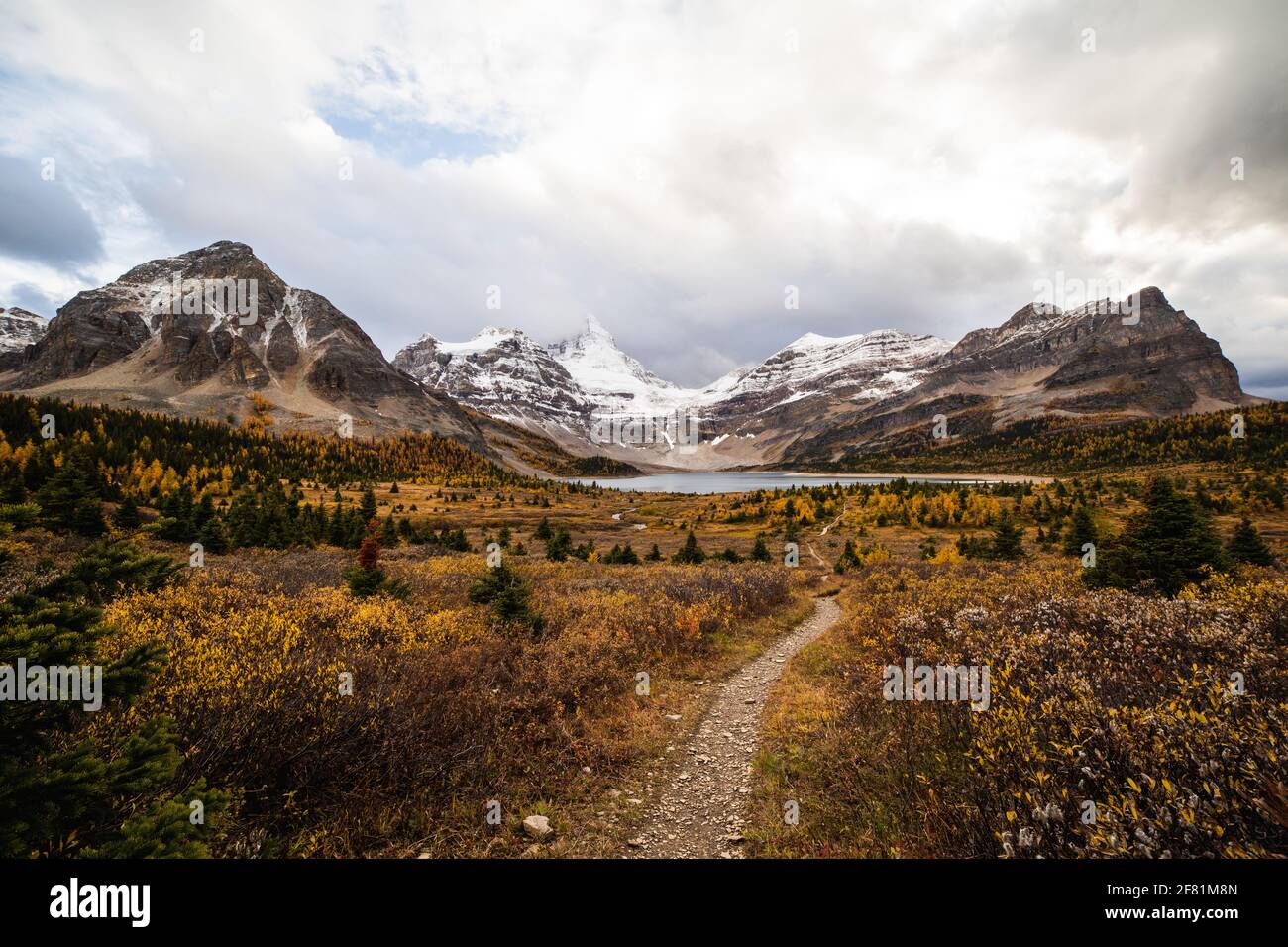 autumn scenery in the mountains with a path leading far Stock Photo - Alamy