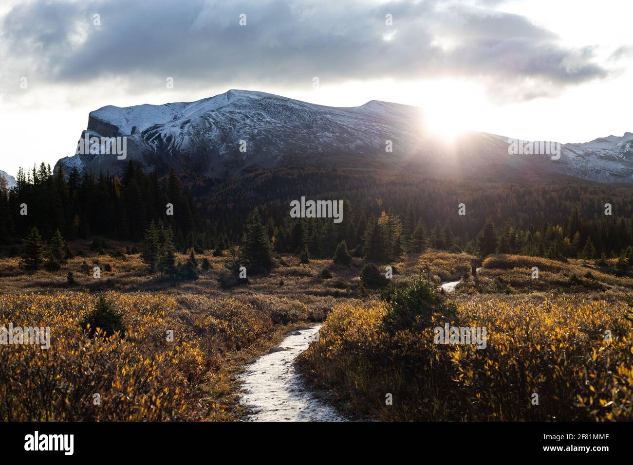 hiking trail in the mountains in autumn on a nice day with sun rays ...