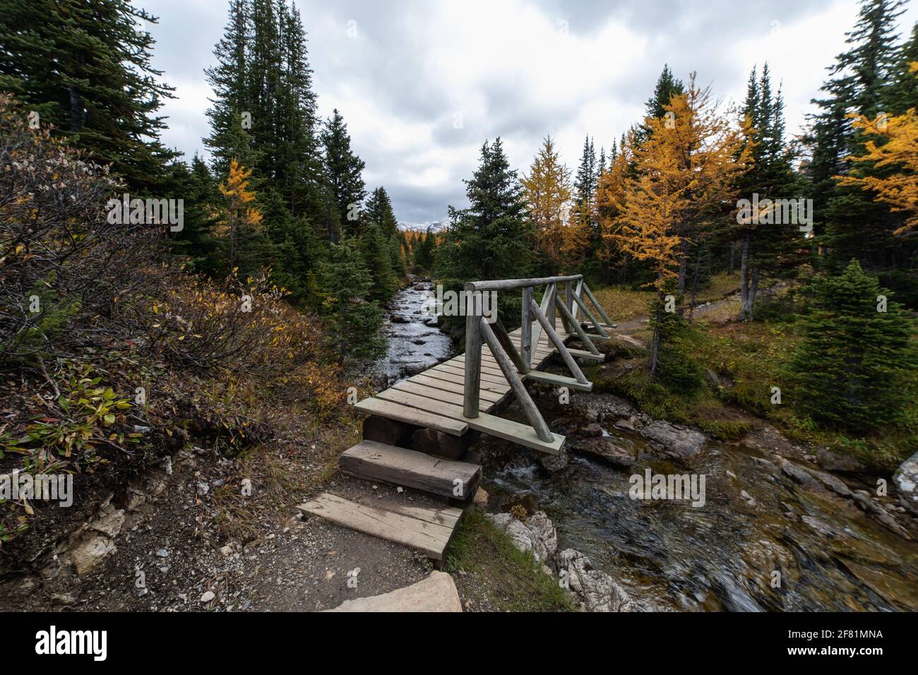 Stream with small bridge in distance hi-res stock photography and ...