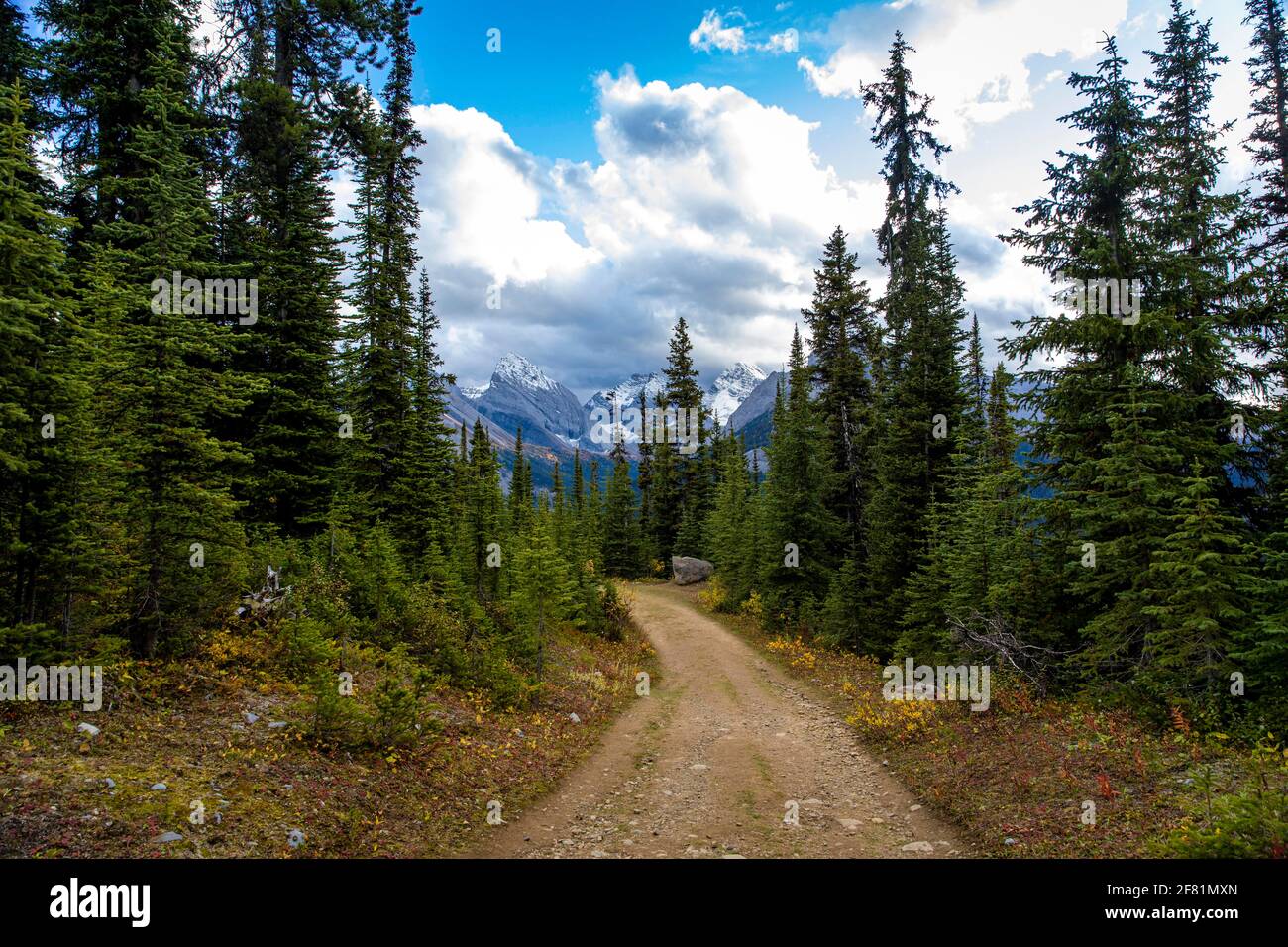 background, beautiful, blue, canada, cloud, clouds, cloudy, day ...