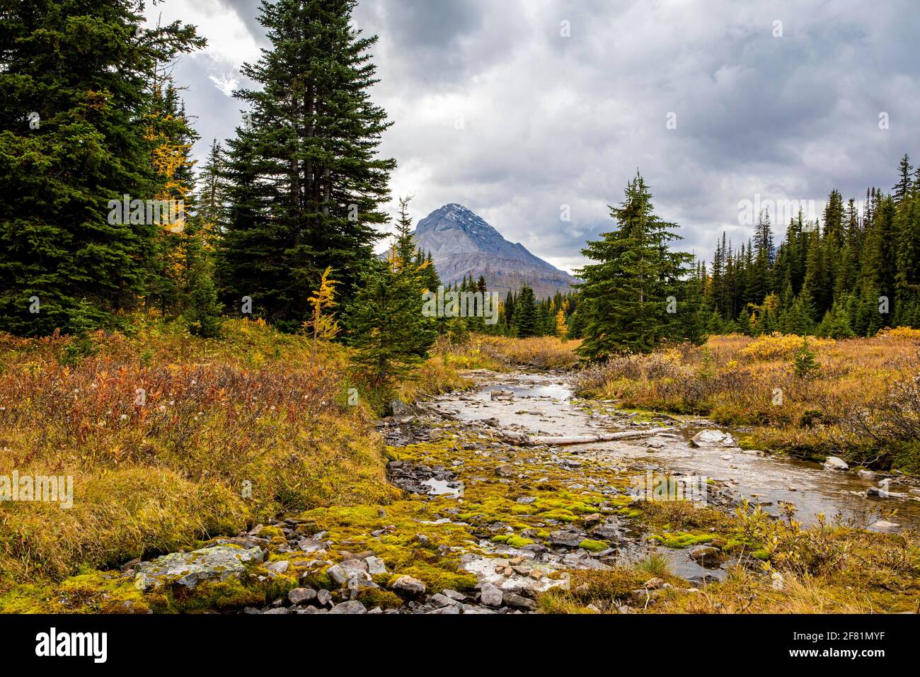 river and fall scenery in the mountains Stock Photo - Alamy