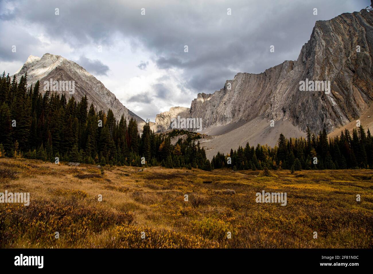 fall in the mountains with orange ground Stock Photo - Alamy