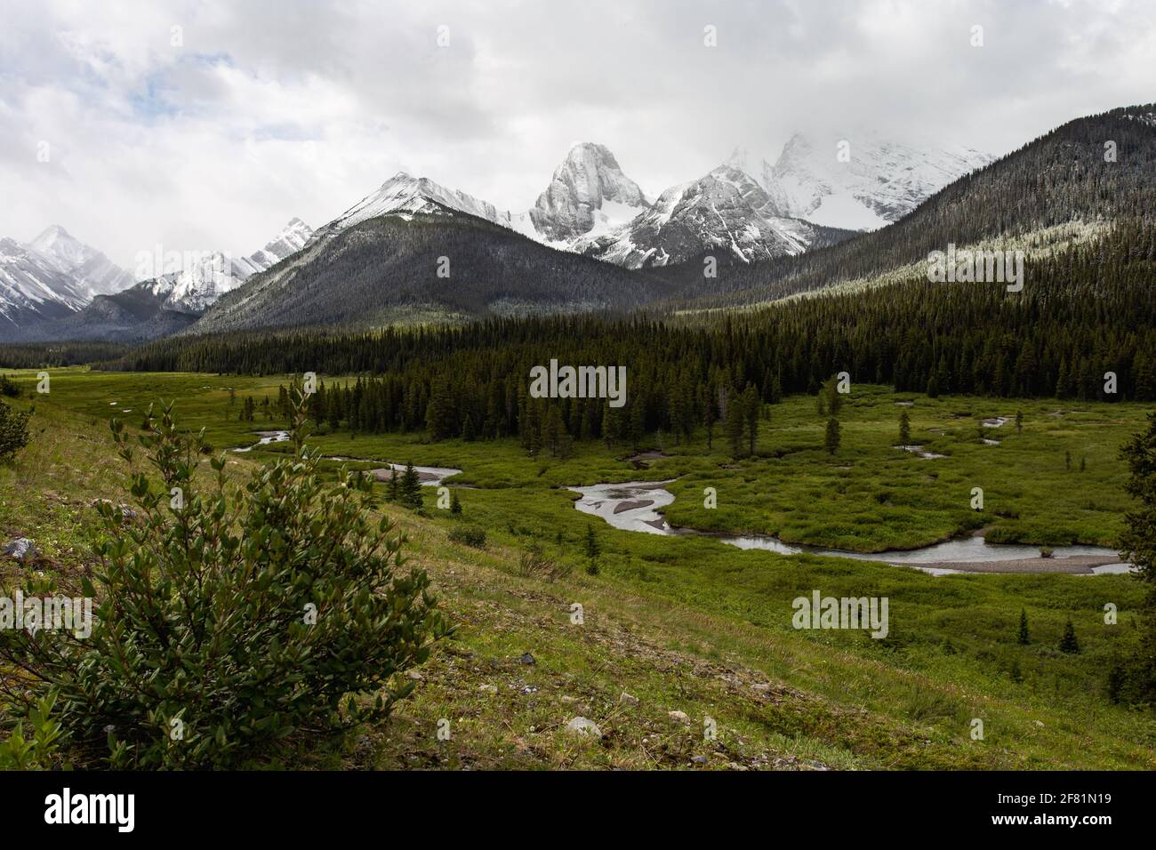 Grass in the mountains hi-res stock photography and images - Alamy
