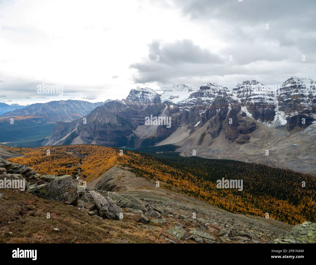 view of a valley full of larches in fall turned orange Stock Photo - Alamy