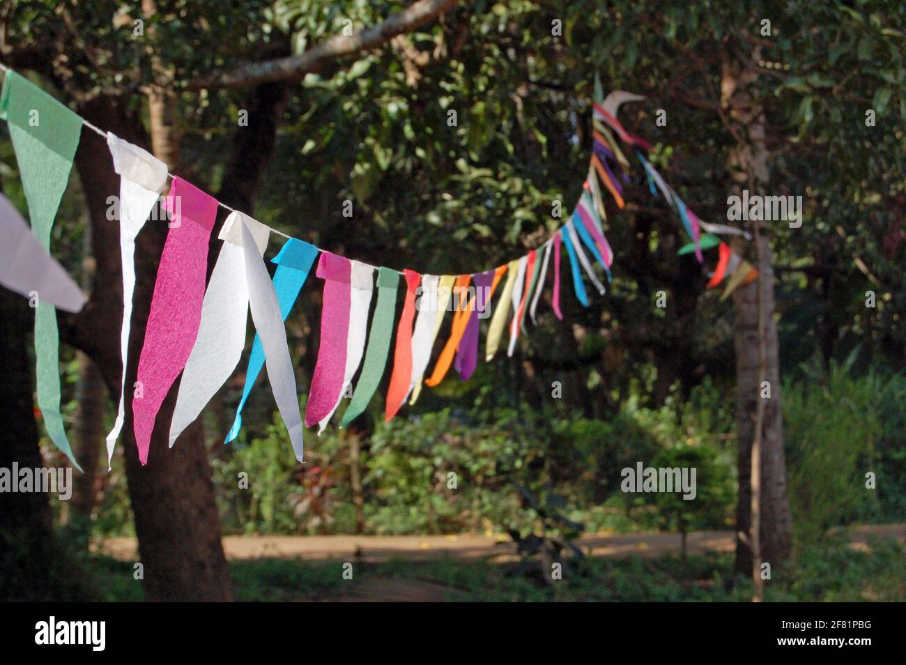 A line of handmade paper bunting stretched between trees in Goa, India ...