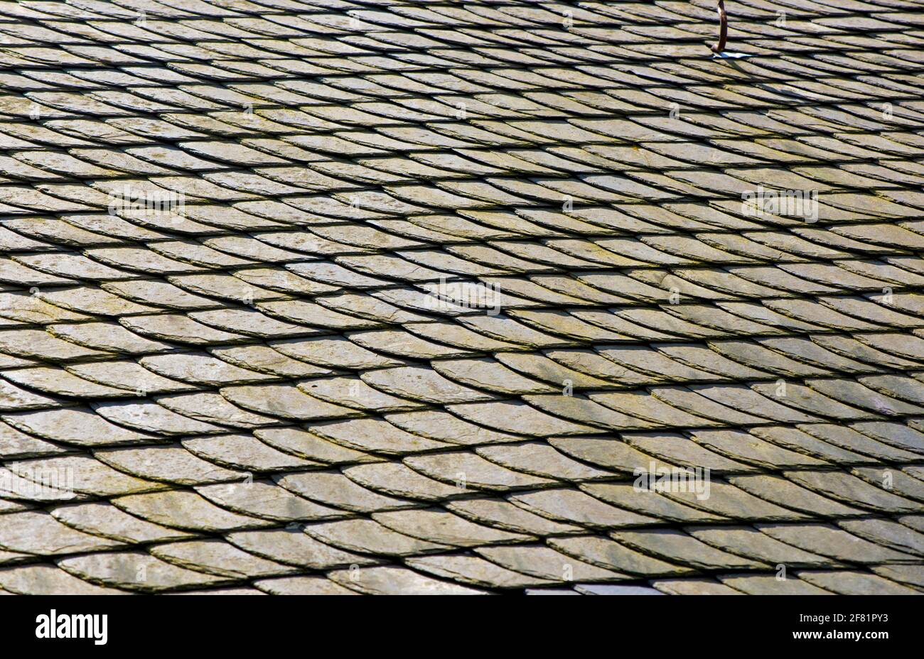 Slate at house - slate roof and slate facade background Stock Photo - Alamy