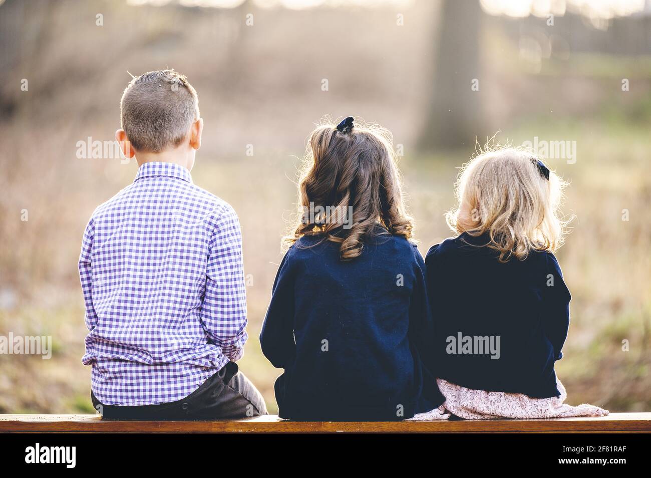 A back view of a little boy and two girls sitting on a bench Stock ...