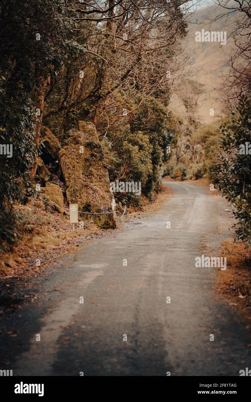 A beautiful view of a long narrow rural road in the sunlight Stock ...