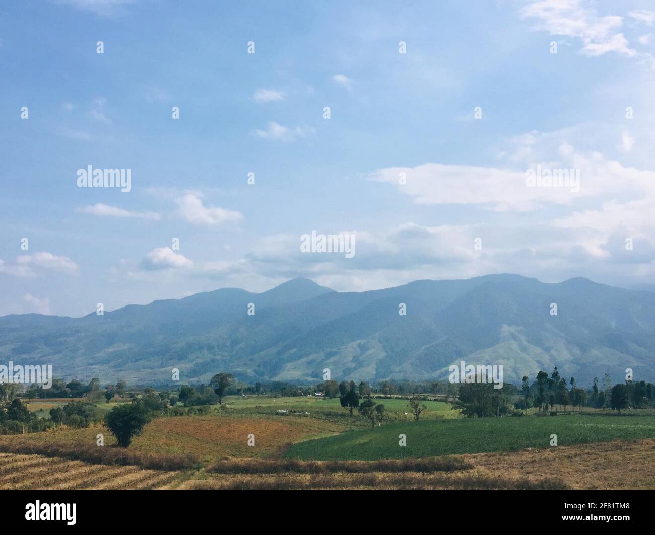 A scenic view of hilly terrain with mountains background in Bukidnon ...