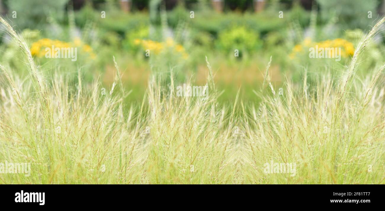 Grass strip by field hi-res stock photography and images - Alamy