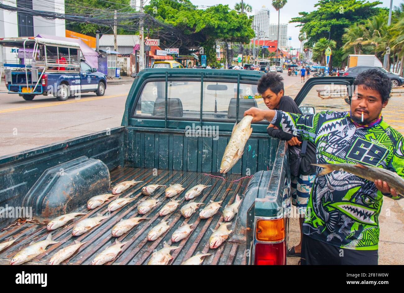 PATTAYA, THAILAND - Apr 07, 2021: Freshly caught fish from the sea from ...
