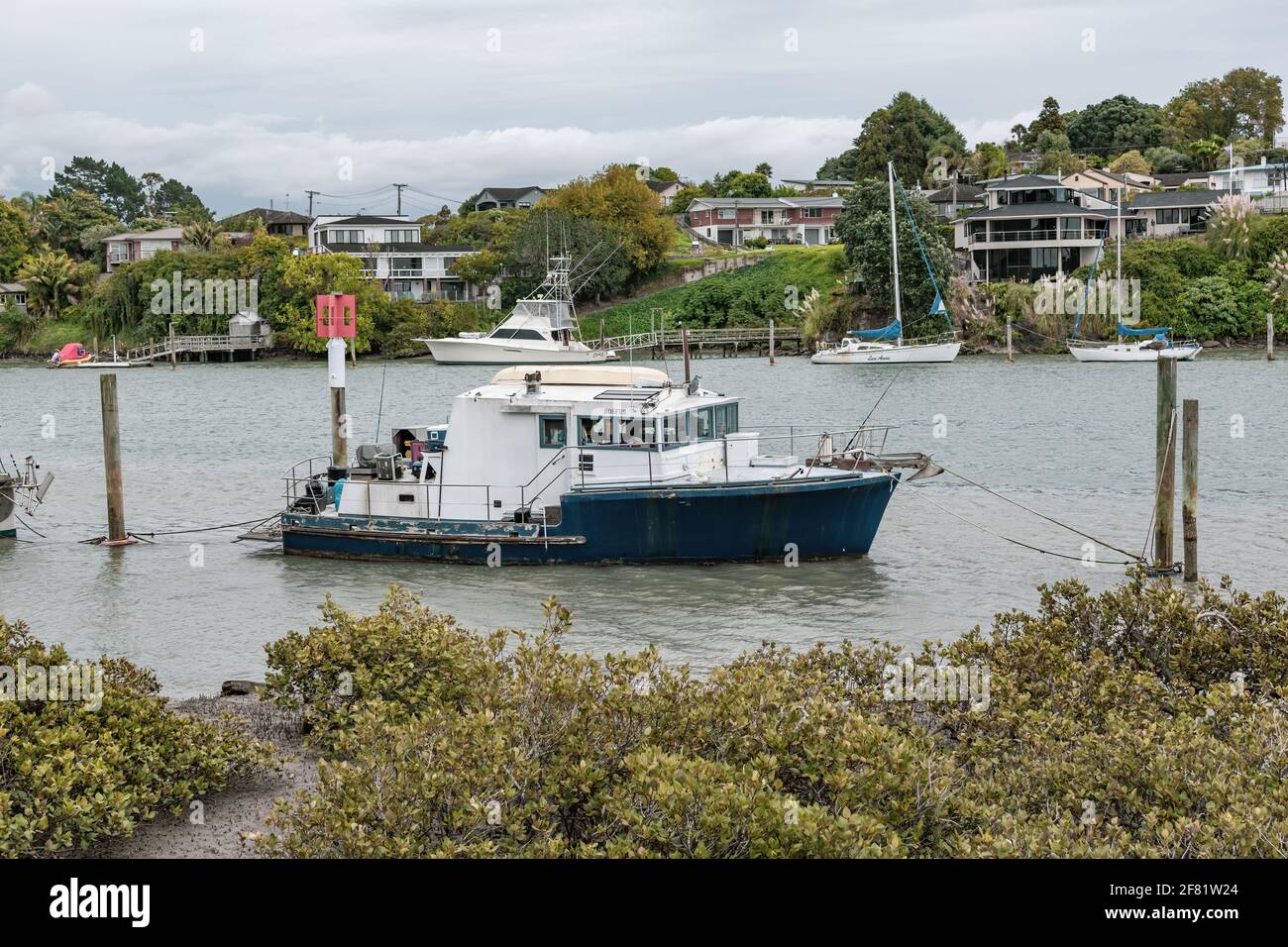 Tamaki river hi-res stock photography and images - Alamy