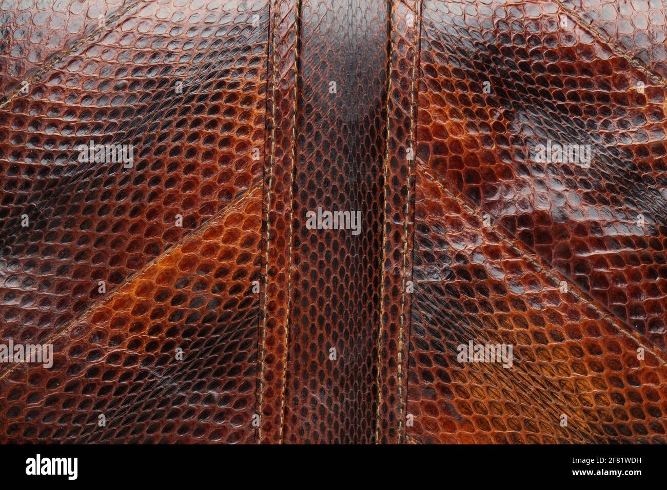 Snakeskin leather and texture background. Skin pattern background. Top ...