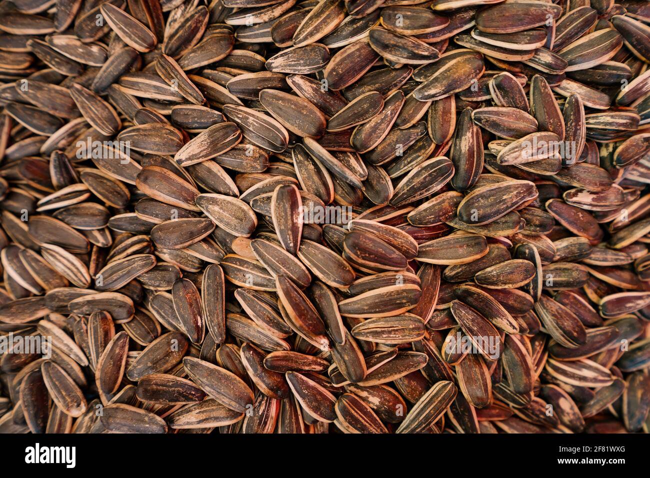 Sunflower seeds as an abstract background texture Stock Photo - Alamy