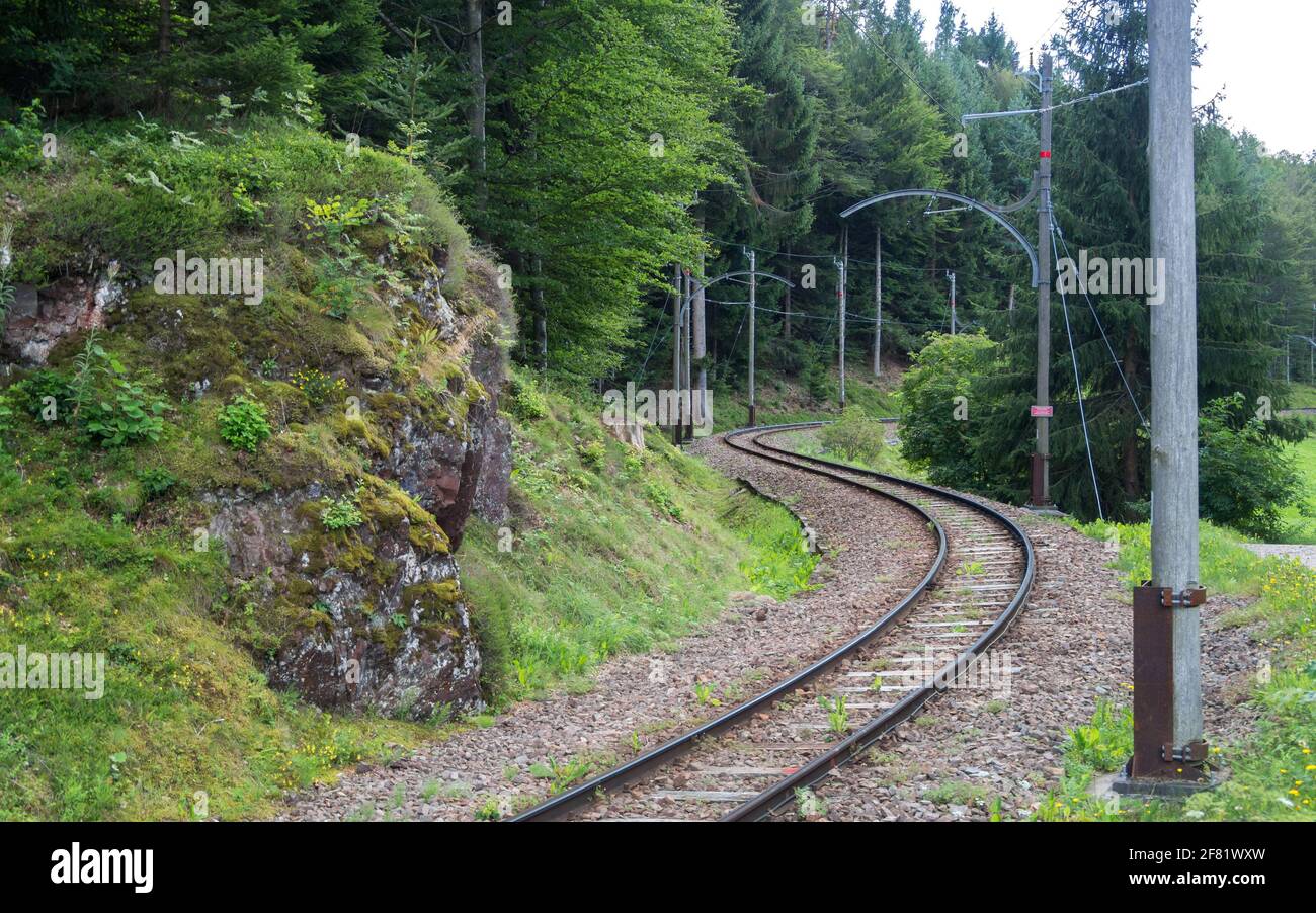 Narrow railway line running hi-res stock photography and images - Alamy