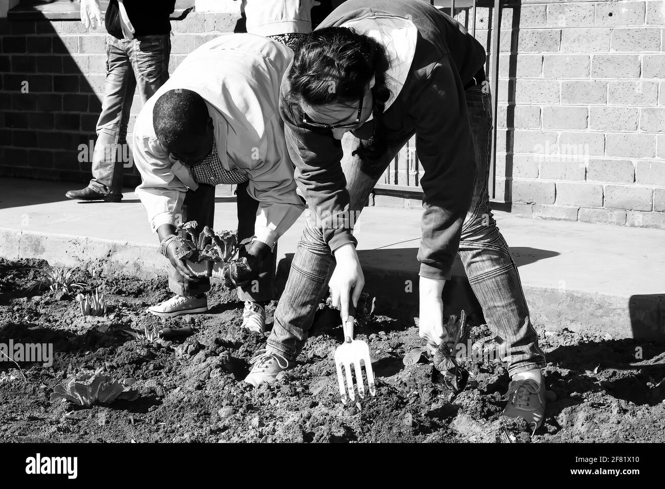 Social participation Black and White Stock Photos & Images - Alamy