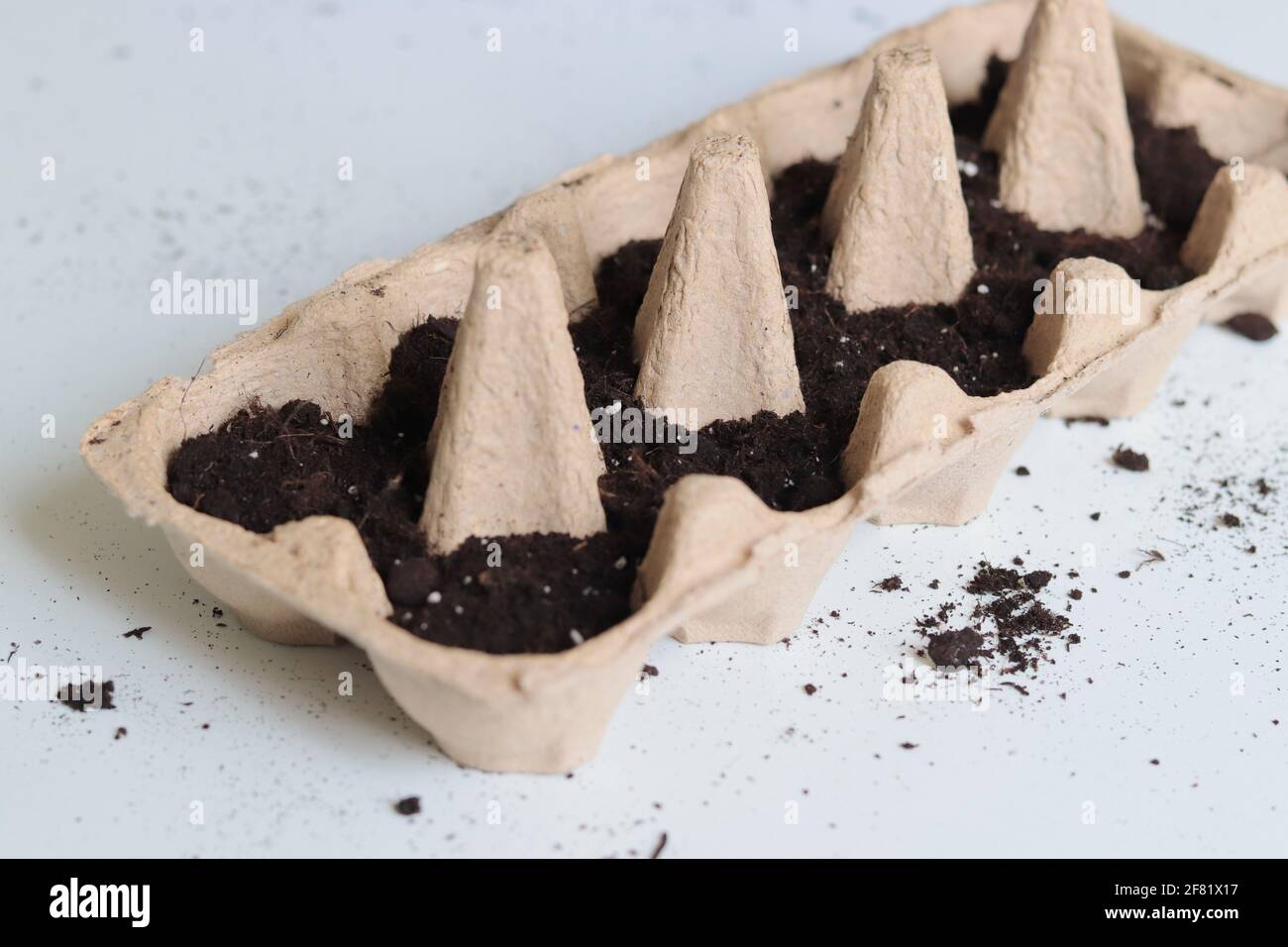 A high angle shot of an egg carton containing potting soil with seeds ...