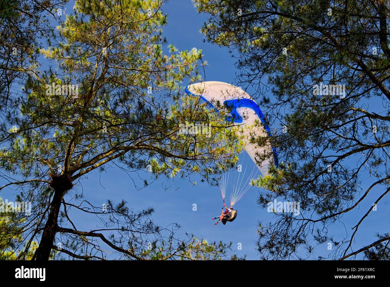 Taken@Omah Kayu, Batu, East Java, Indonesia Stock Photo - Alamy