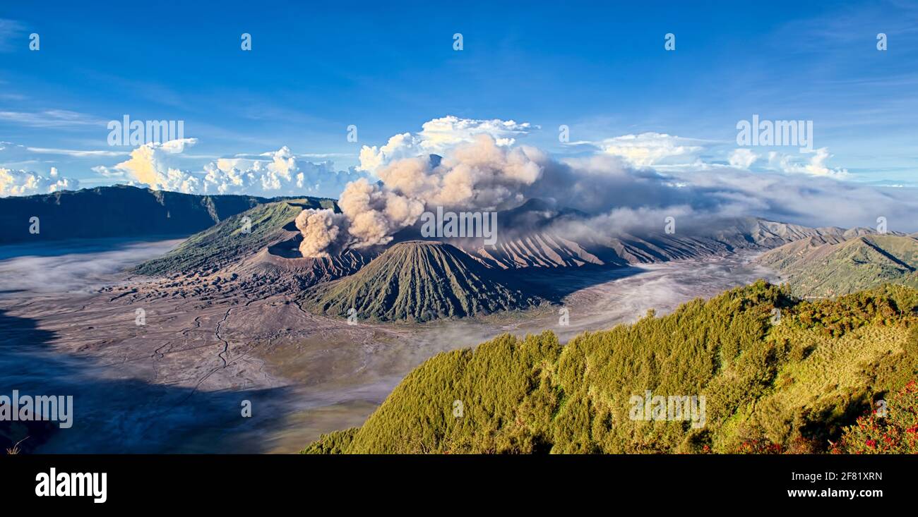 Ash emissions continue at fluctuating levels. A stronger phase of ...